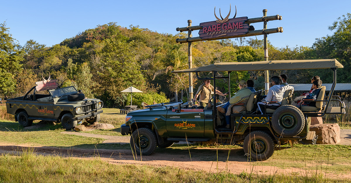 The Rare Game Experience | Waterberg Game Park | Melkrivier, Limpopo